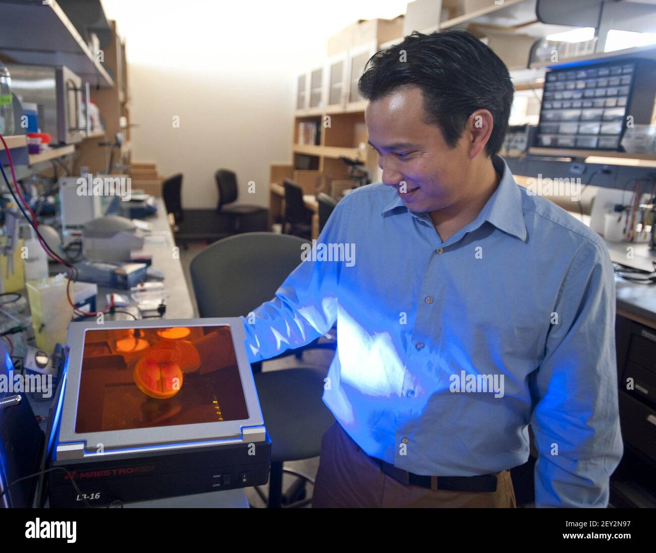 University of Pennsylvania bioengineer Brian Chow looks at glowing light-sensitive bacteria used ...