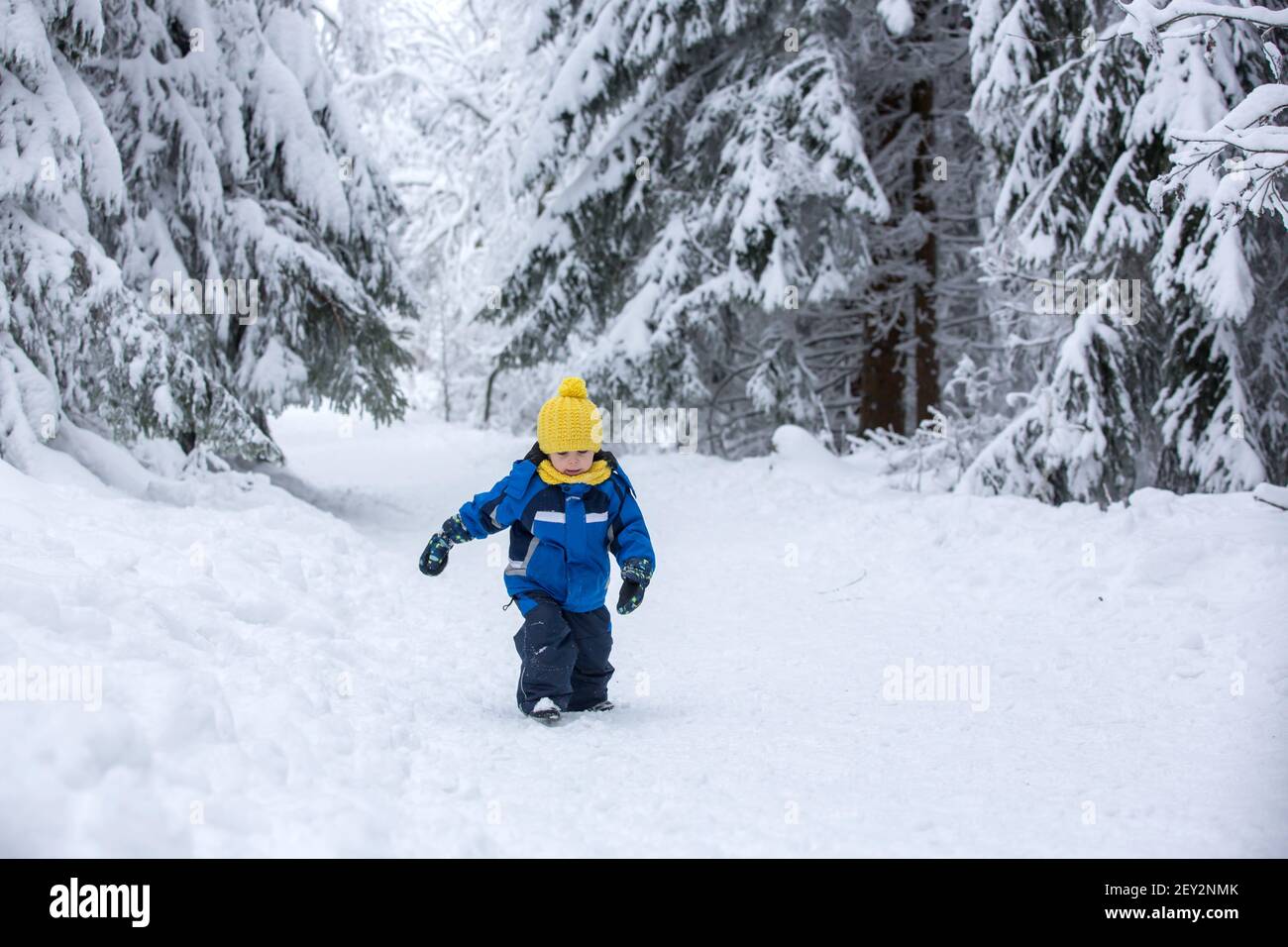 Sweet happy child, playing in deep snow in forest Stock Photo - Alamy
