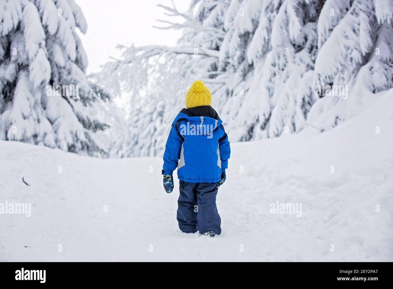 Sweet happy child, playing in deep snow in forest Stock Photo - Alamy