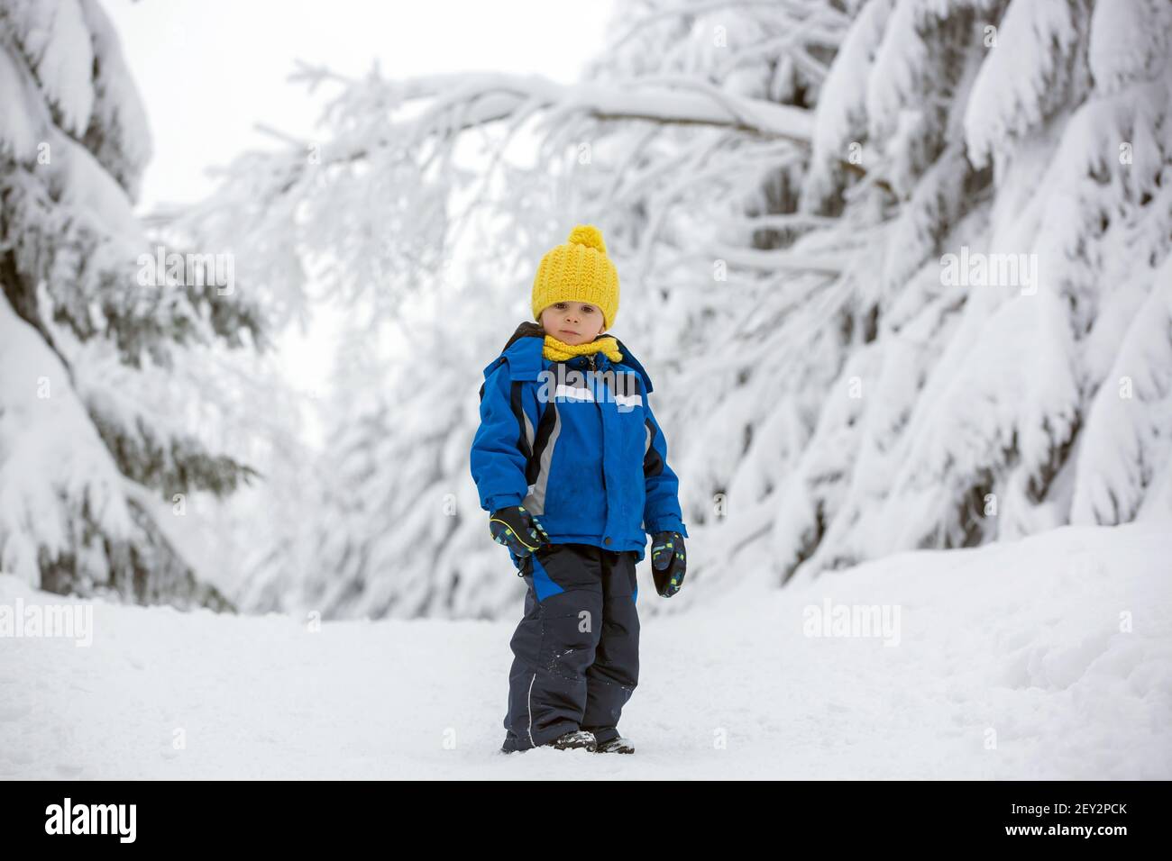 Sweet happy child, playing in deep snow in forest Stock Photo - Alamy