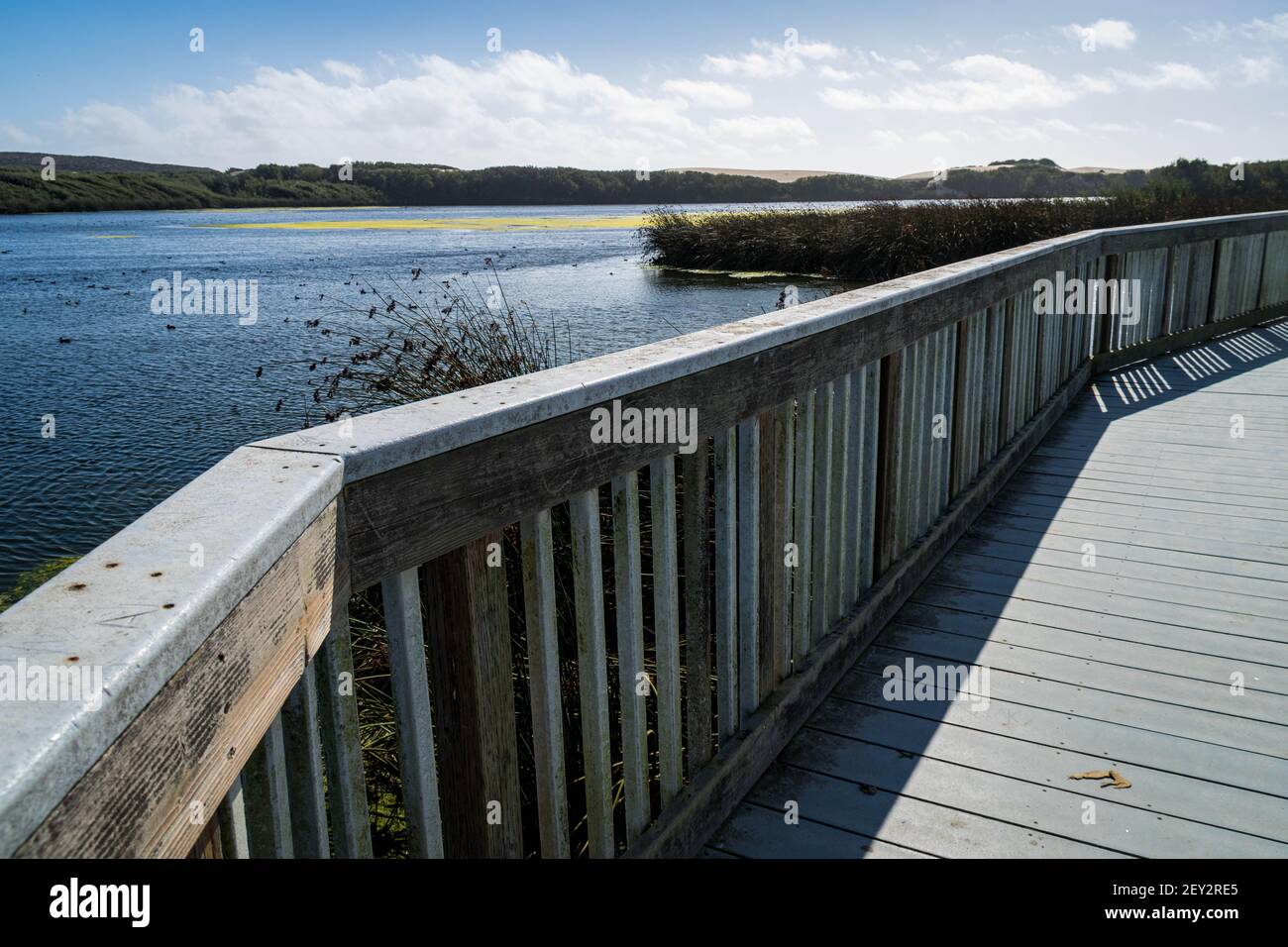 Wooden bridge across Oso Flaco Lake, California Stock Photo - Alamy