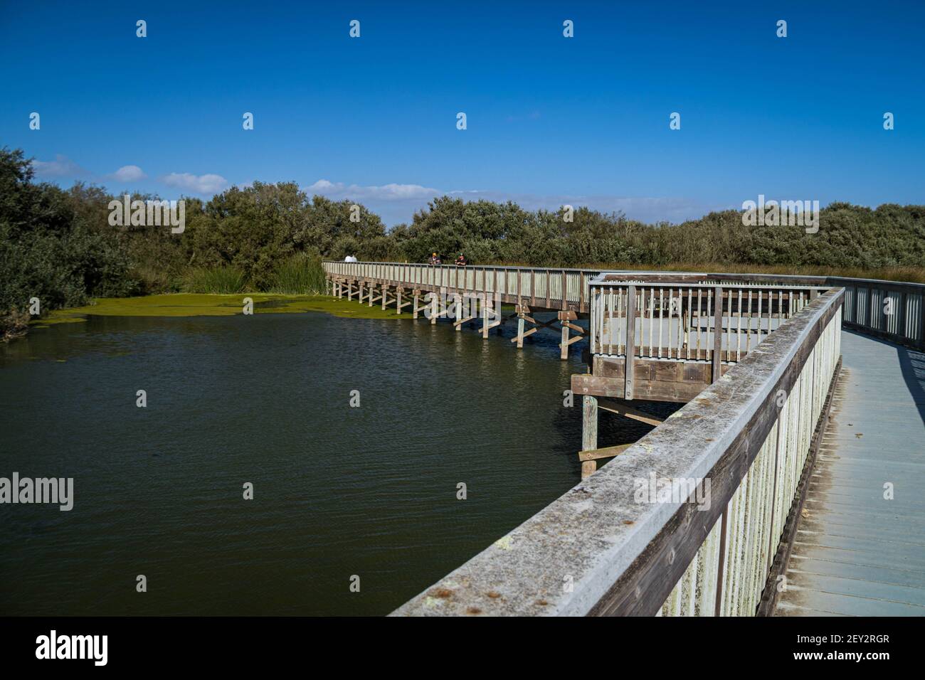 Wooden bridge across Oso Flaco Lake, California Stock Photo - Alamy