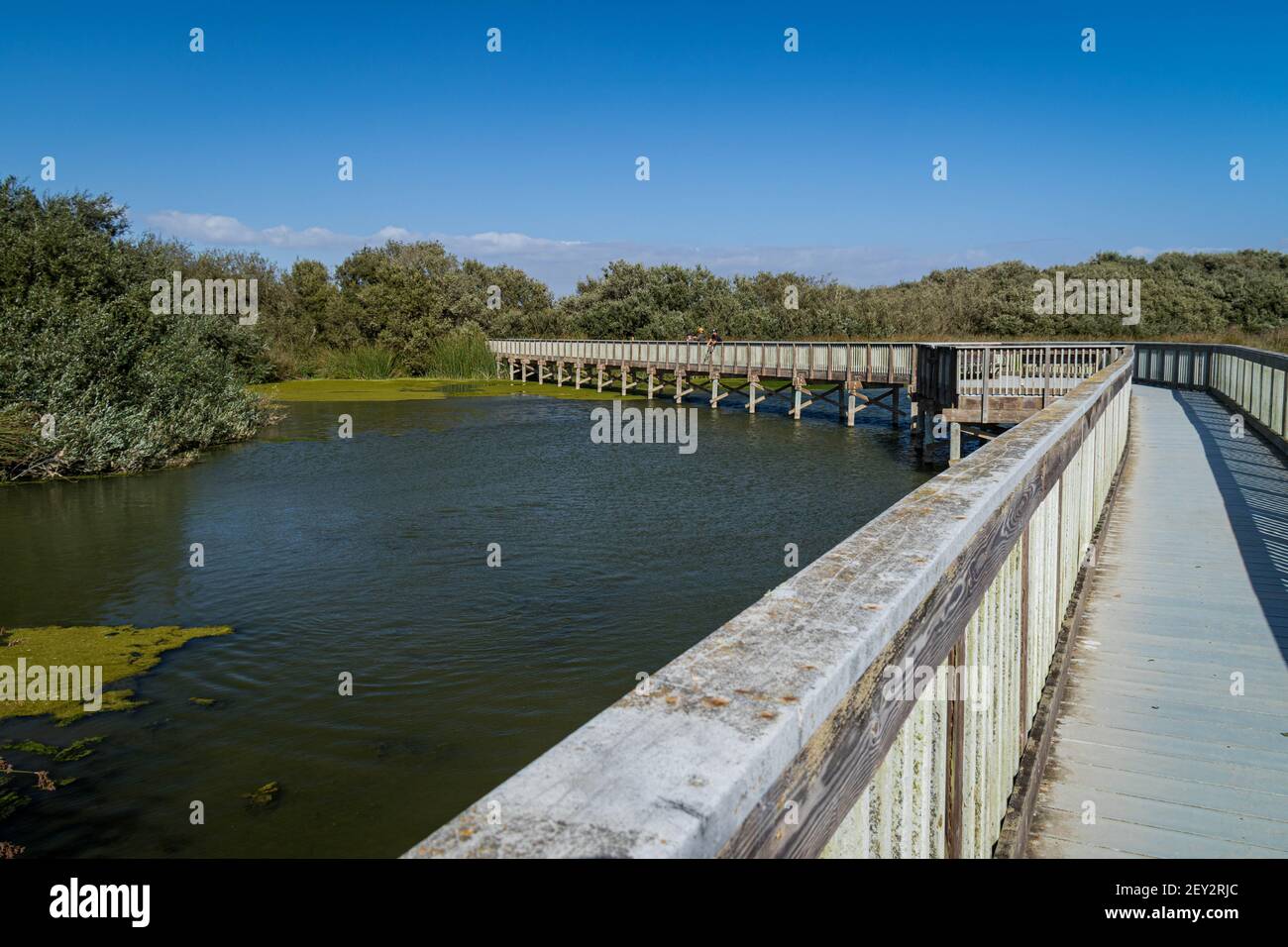 Wooden bridge across Oso Flaco Lake, California Stock Photo - Alamy