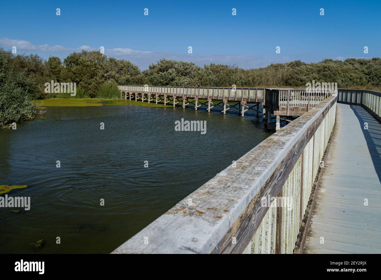 Wooden bridge across Oso Flaco Lake, California Stock Photo - Alamy