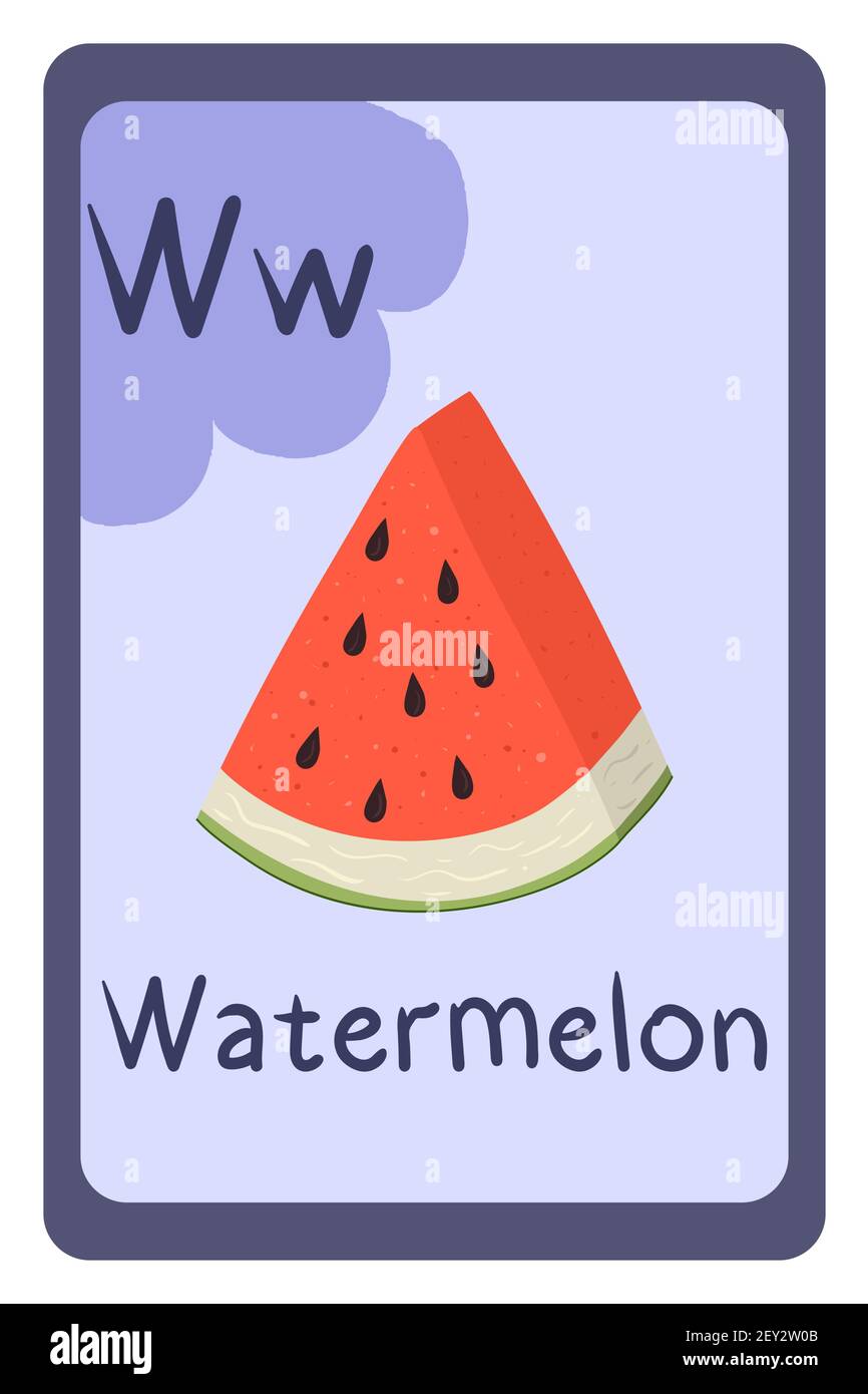 Colorful abc education flash card, Letter W - watermelon, summer big ...