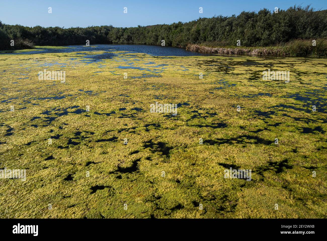 Oso Flaco Lake, California Stock Photo - Alamy
