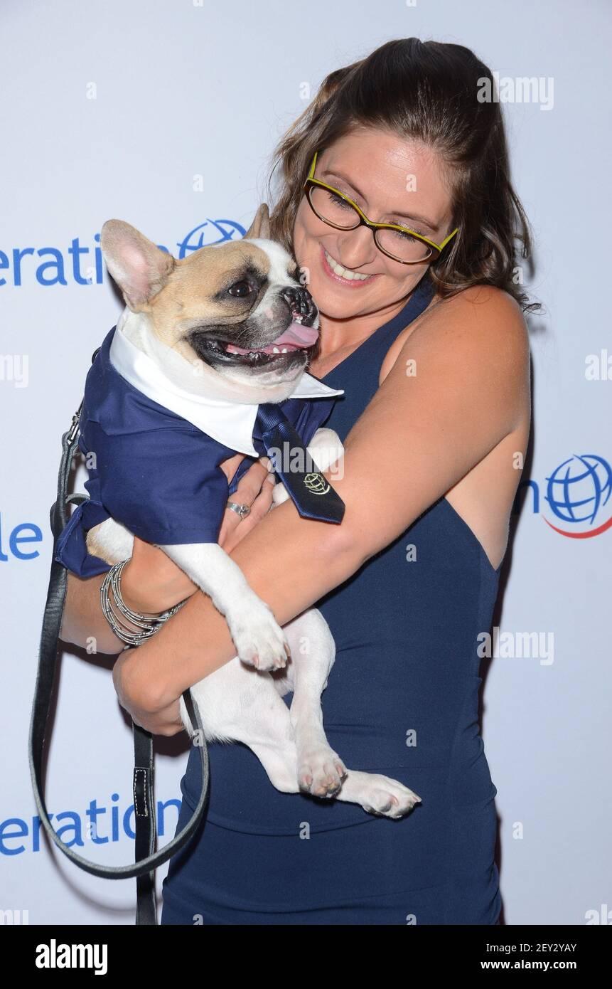 19 September 2014 - Beverly Hills, California - Lentil the Ambassadog ...