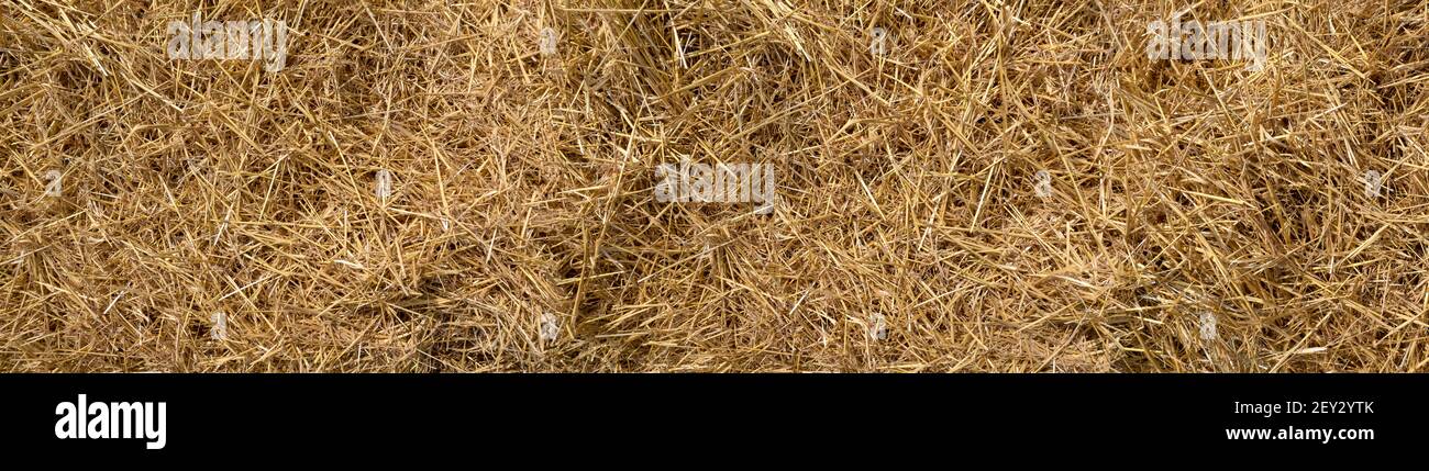 Straw background hi-res stock photography and images - Alamy