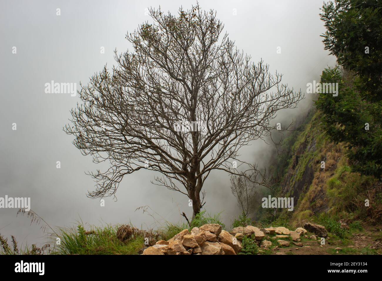 Mountain View and Off Road Path for Hill Tracking and Camping - Travel ...