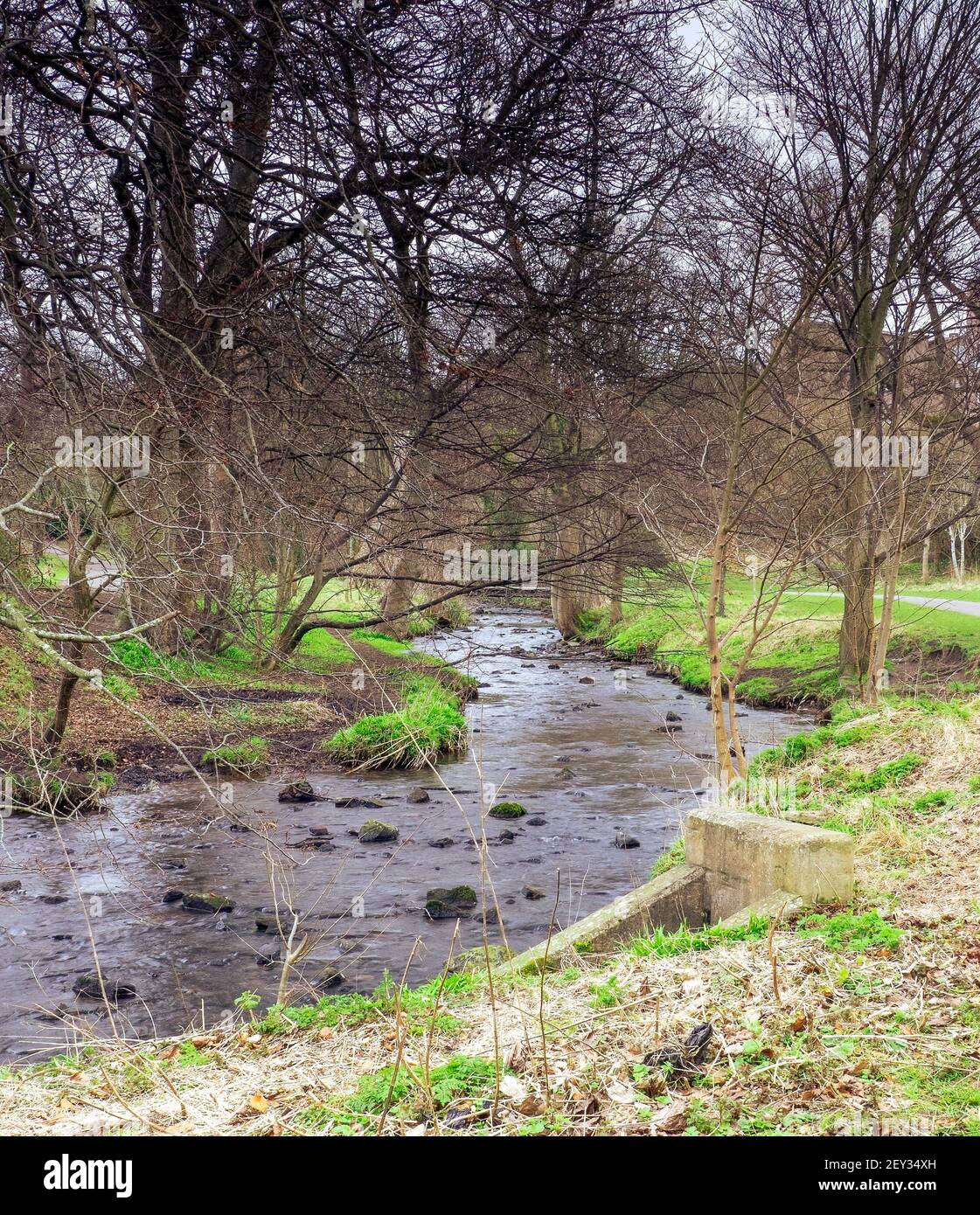 Stream and path in Figgate Park Edinburgh, Scotland, UK Stock Photo - Alamy
