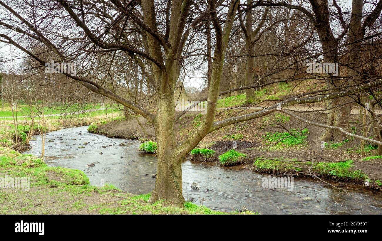 Stream and path for your daily exercise in Figgate Park, Edinburgh ...