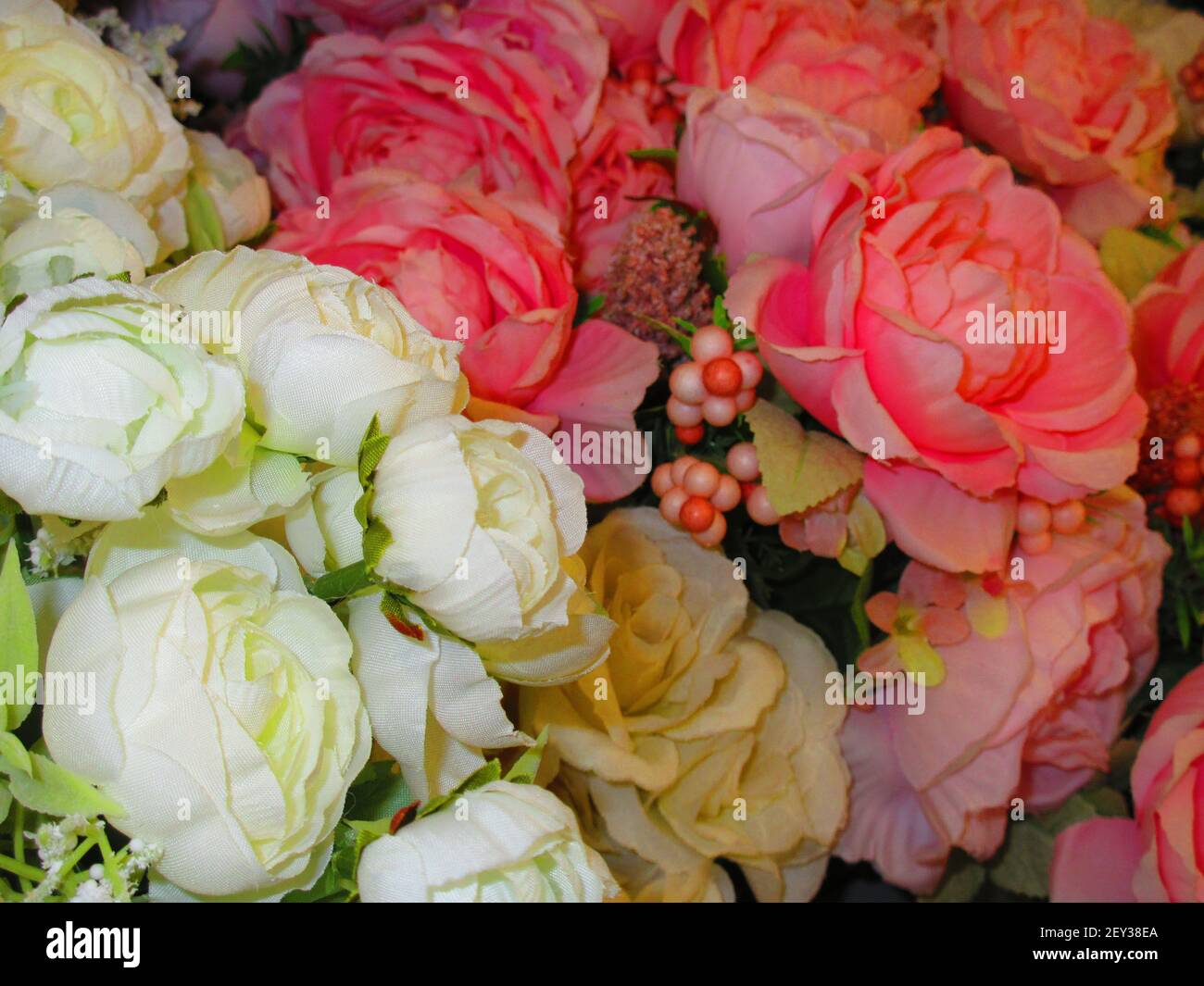 Colorful peonies hi-res stock photography and images - Alamy