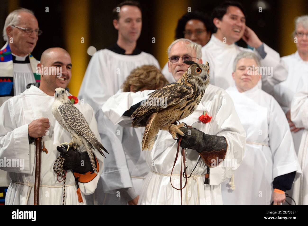 Master falconer and handler of birds of pray Brian Bunce (on right ...
