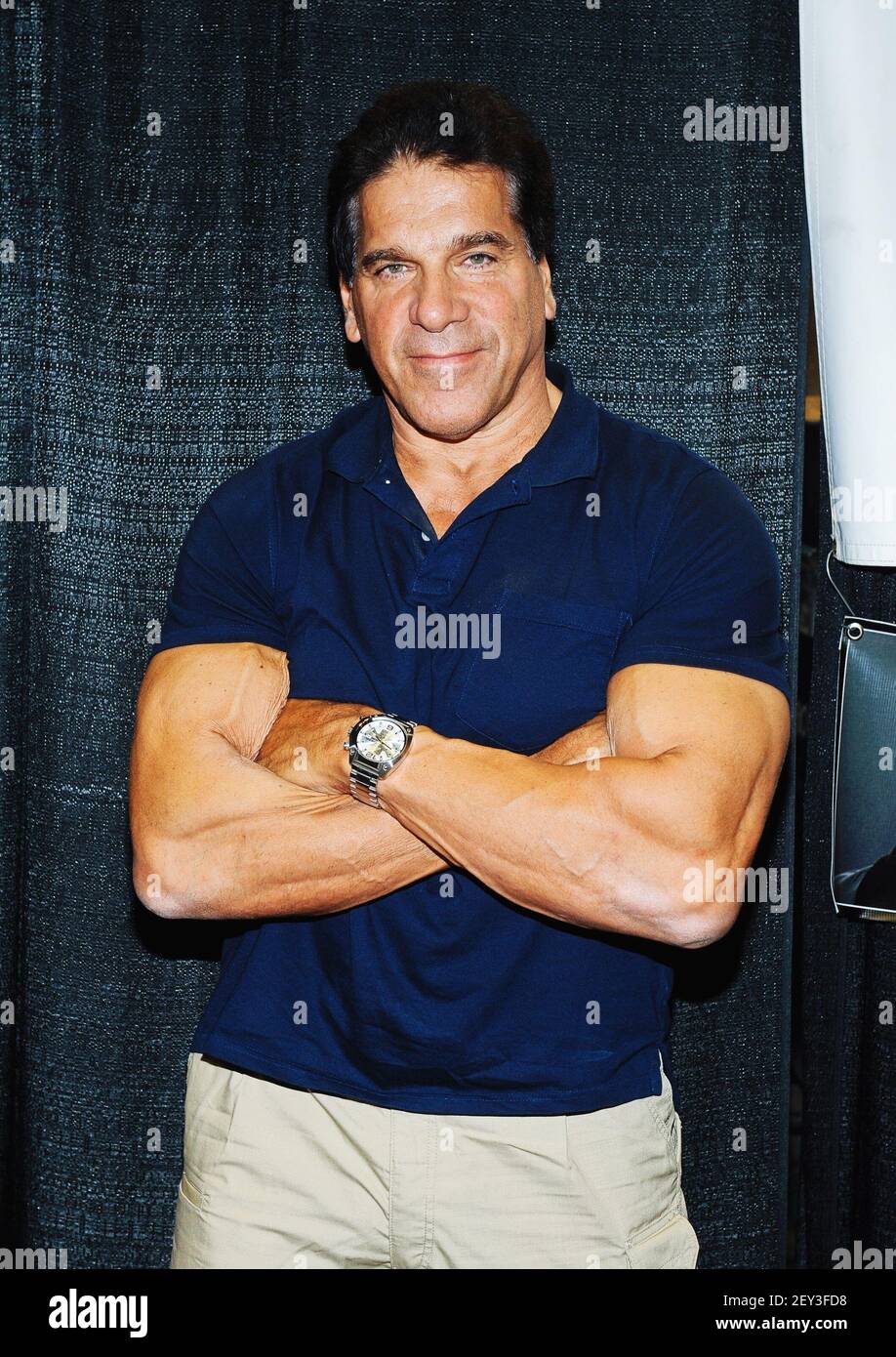 04 October 2014 - Hamilton, Ontario, Canada. Actor Lou Ferrigno (best ...