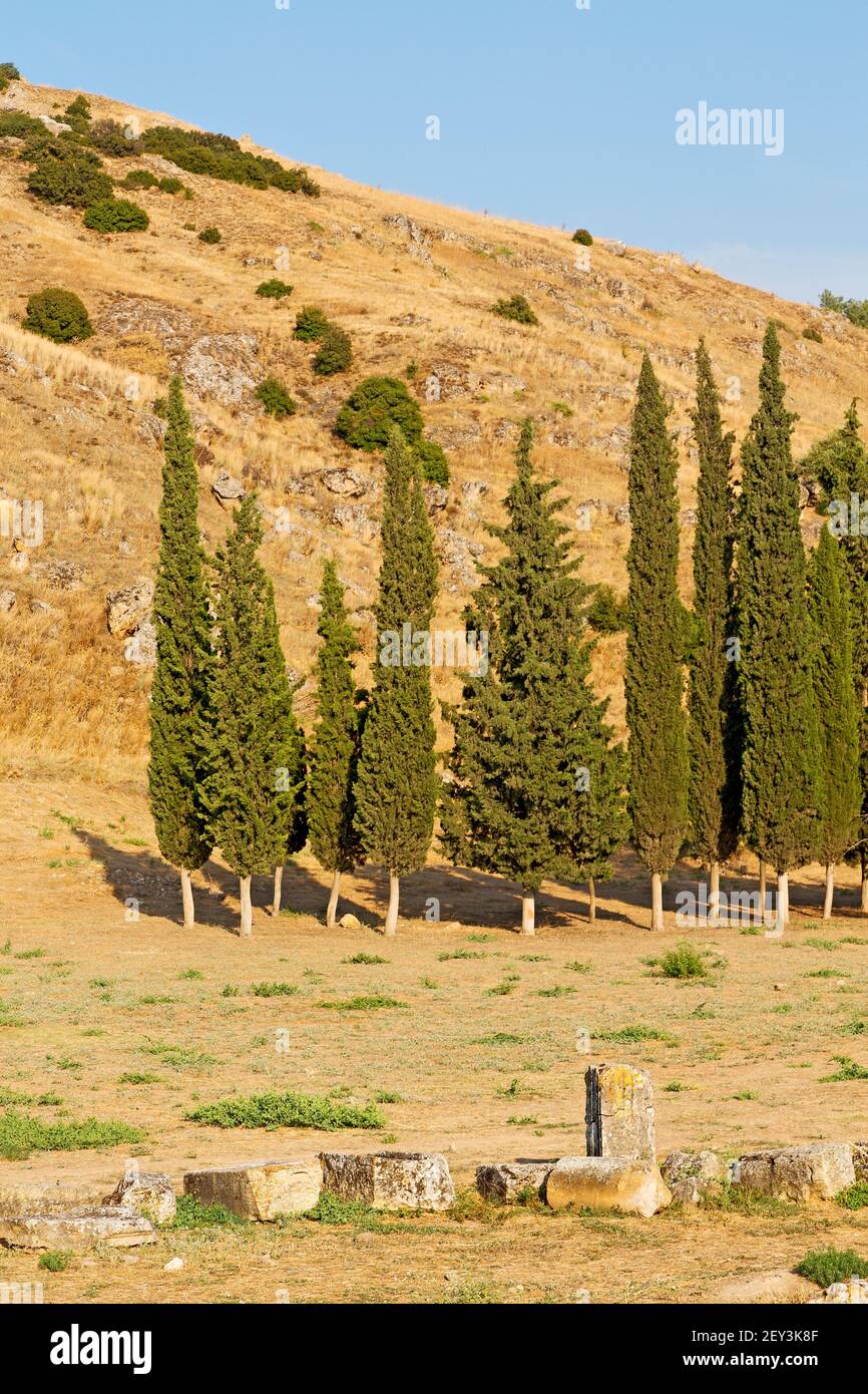 And temple history pamukkale old turkey the column Stock Photo - Alamy