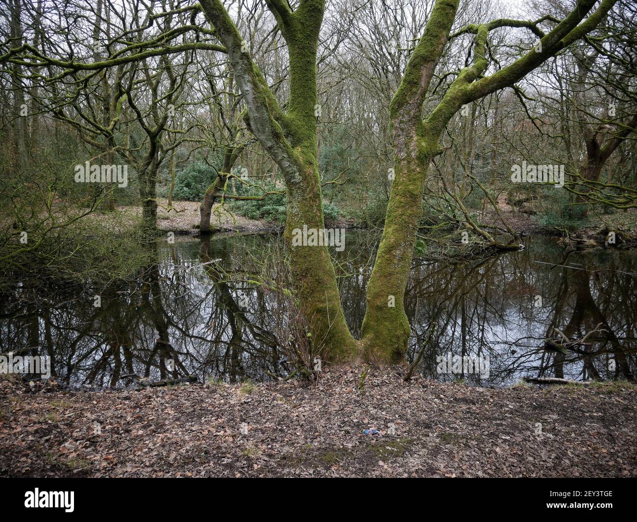 UK Manchester. The modern day scene of the Pretoria Pit disaster ...