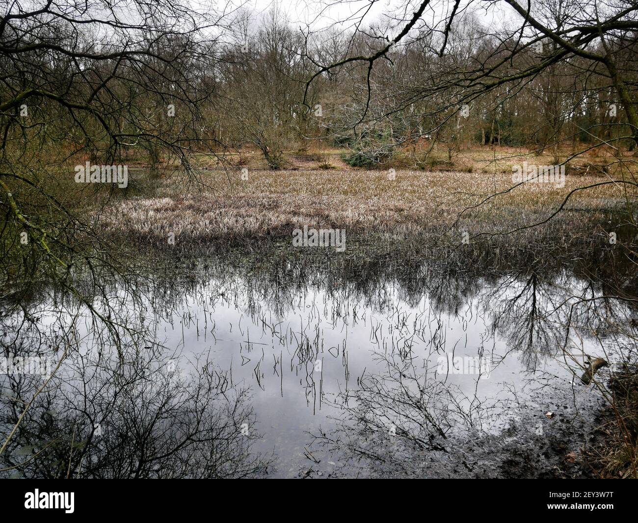 UK Manchester. The modern day scene of the Pretoria Pit disaster ...