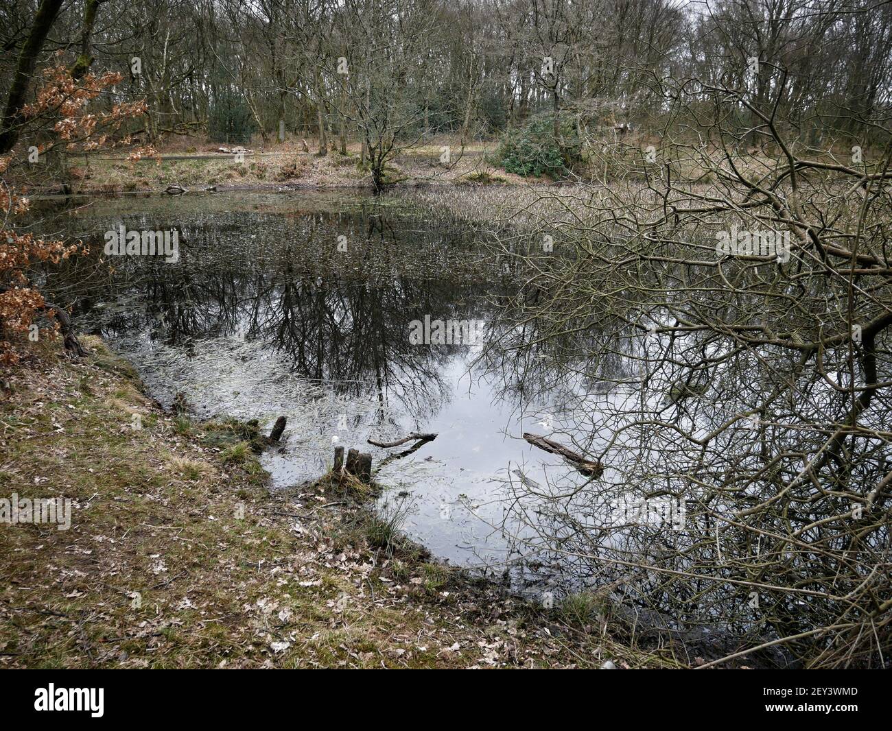 UK Manchester. The modern day scene of the Pretoria Pit disaster ...