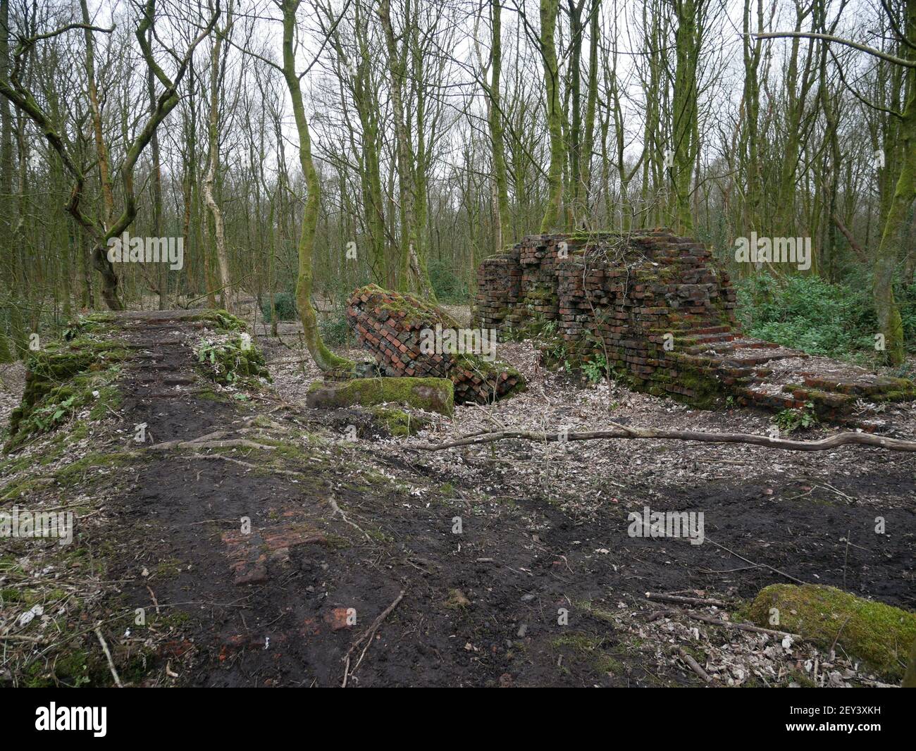 Pretoria pit disaster hi-res stock photography and images - Alamy