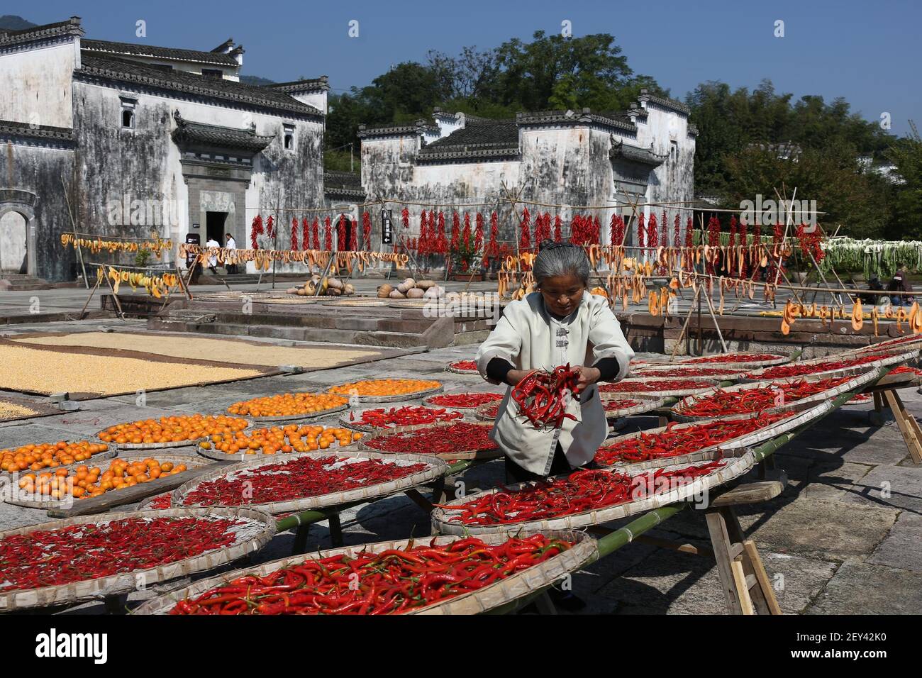 The farmers are sun-curing various grains before deep autumn in Huizhou ...