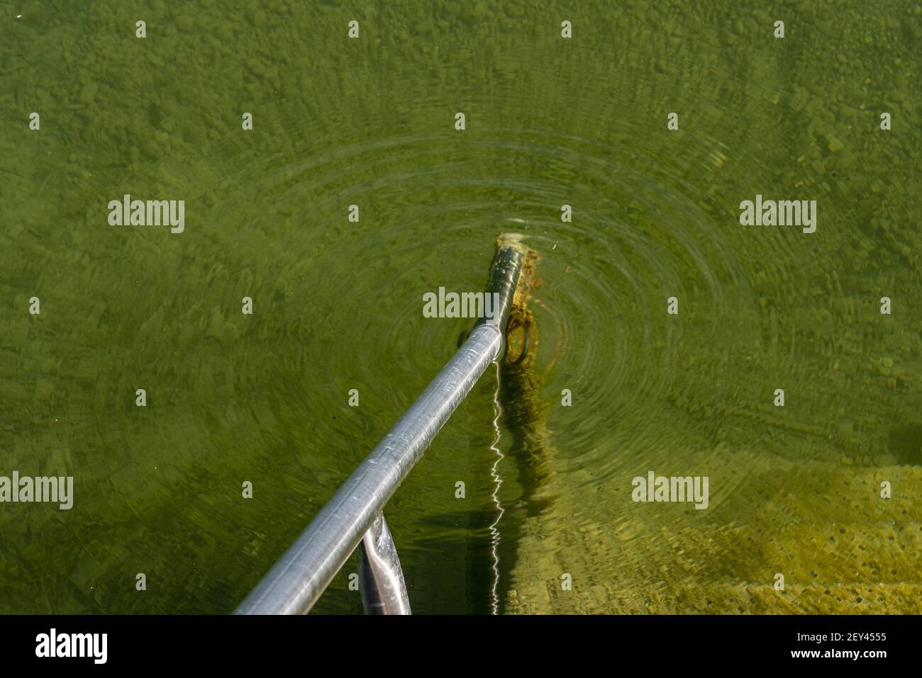 A top view of stairs and green pond Stock Photo - Alamy