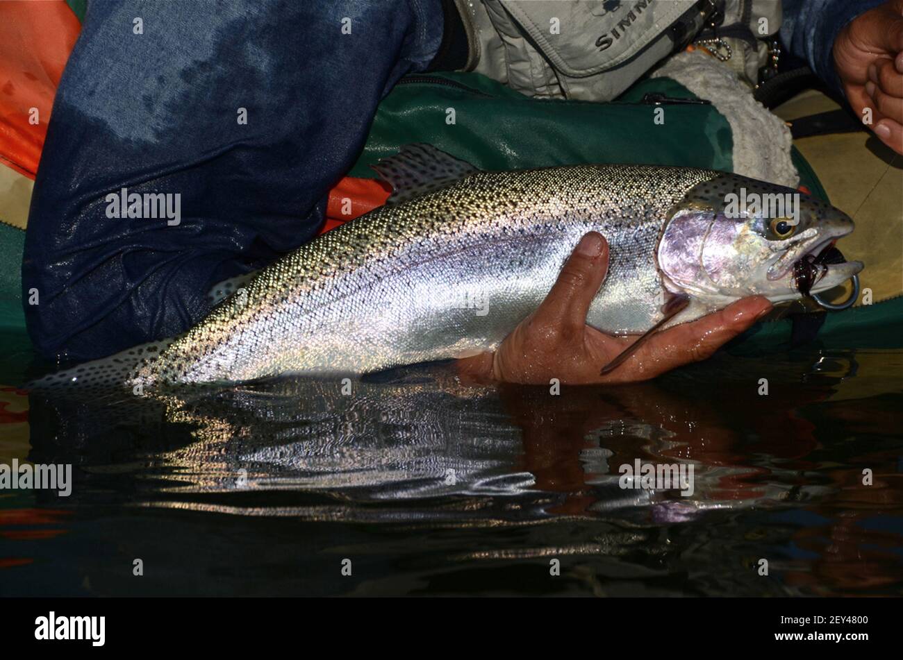 Fish like this rainbow trout have had all summer to grow, so average ...
