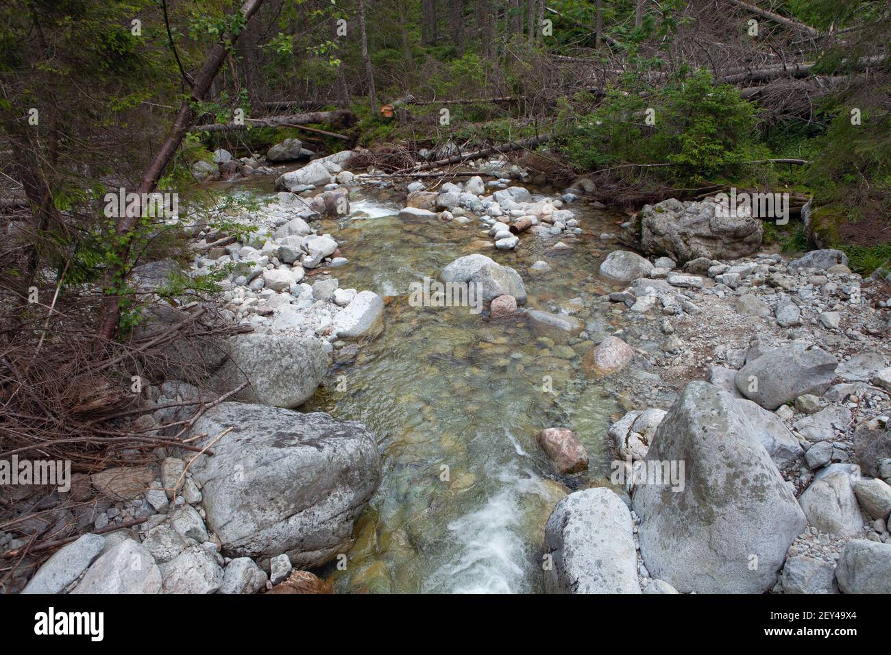 Small ravine hi-res stock photography and images - Alamy