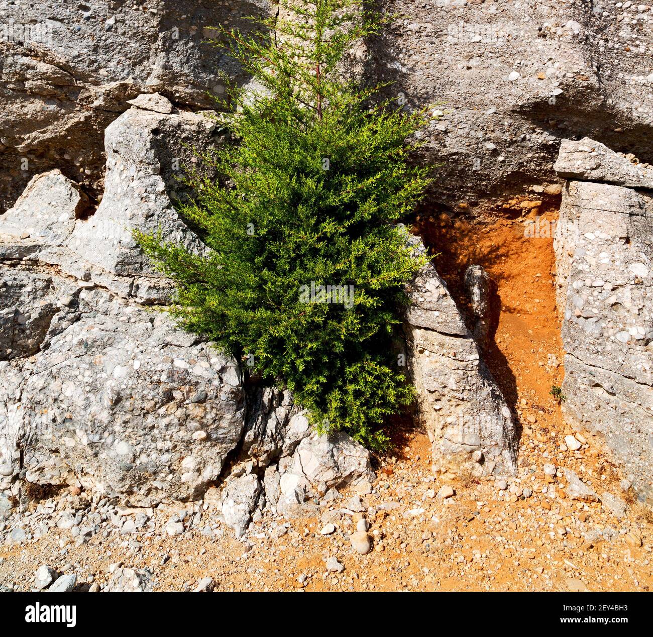 From the hill in asia turkey selge old architecture ruins and nature ...
