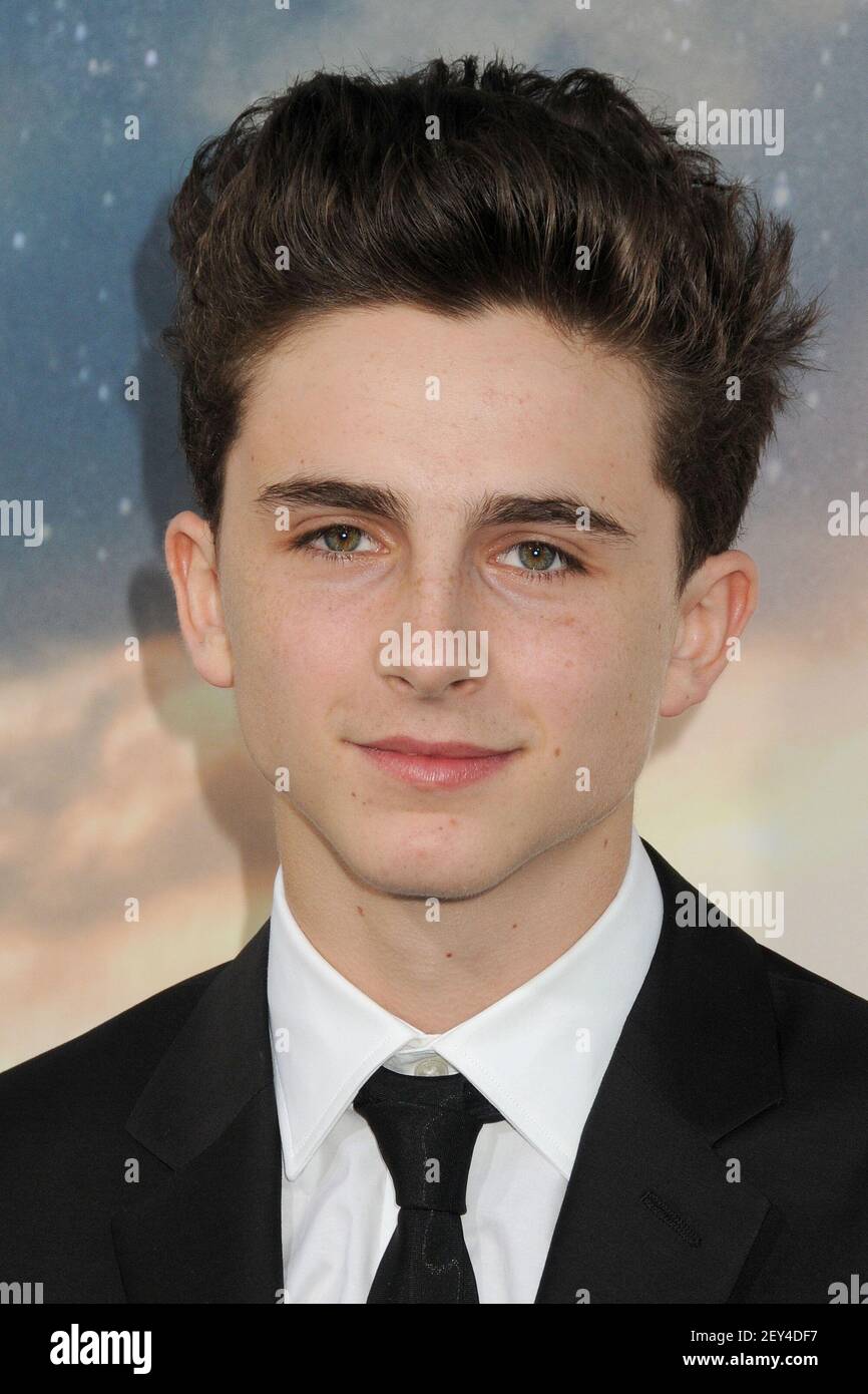 26 October 2014 - Hollywood, California - Timothee Chalamet ...
