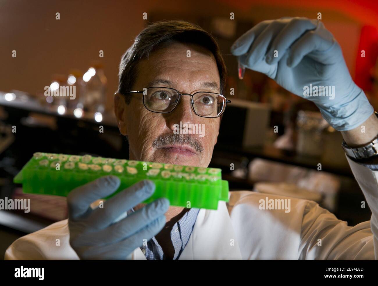 Dr. Michael Hass works as a volunteer biochemist at Fairchild Tropical ...