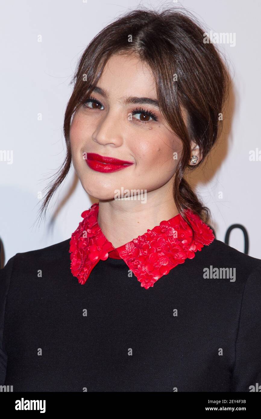 Anne Curtis attends the Los Angeles Premiere of "Blood Ransom" held at ...