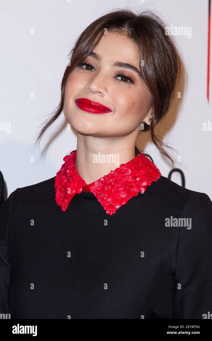 Anne Curtis attends the Los Angeles Premiere of "Blood Ransom" held at ...