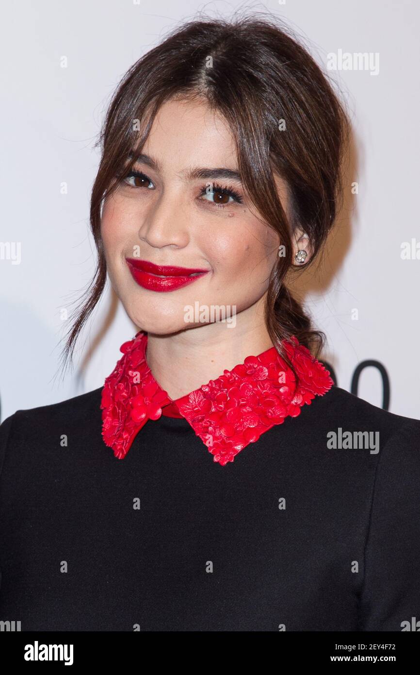 Anne Curtis attends the Los Angeles Premiere of "Blood Ransom" held at ...
