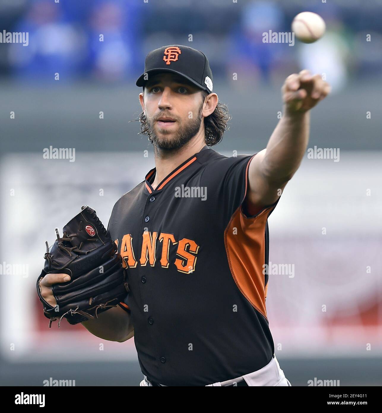 San Francisco Giants pitcher Madison Bumgarner warms up before Game 7 ...