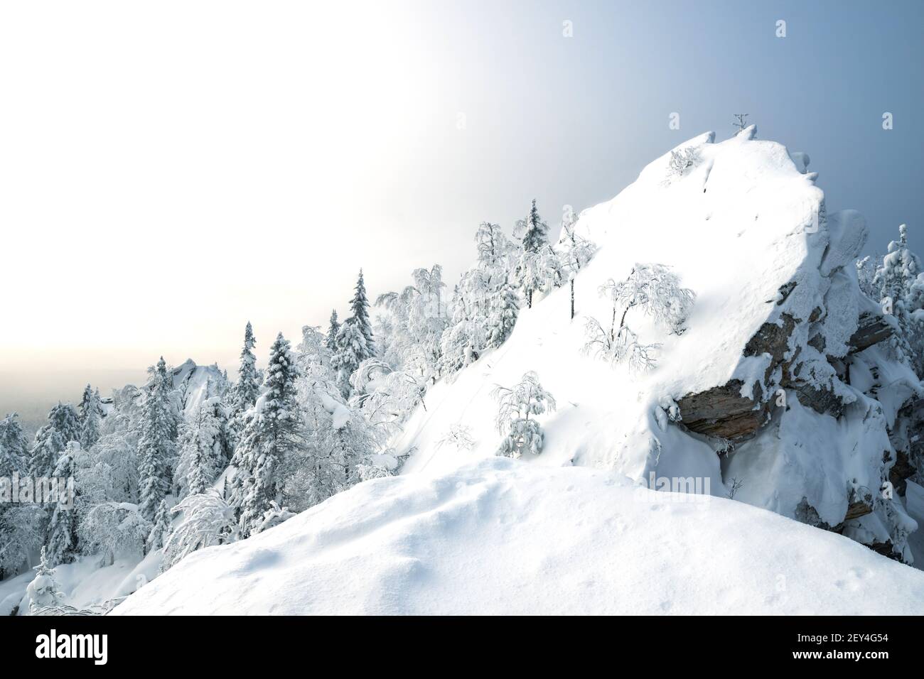 Mountain, rock covered with white fluffy snow and snowy forest at dawn ...