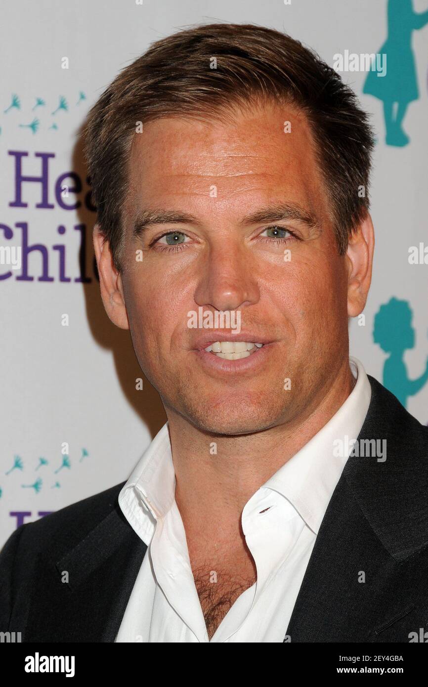 29 October 2014 - West Hollywood, California - Michael Weatherly. 6th ...
