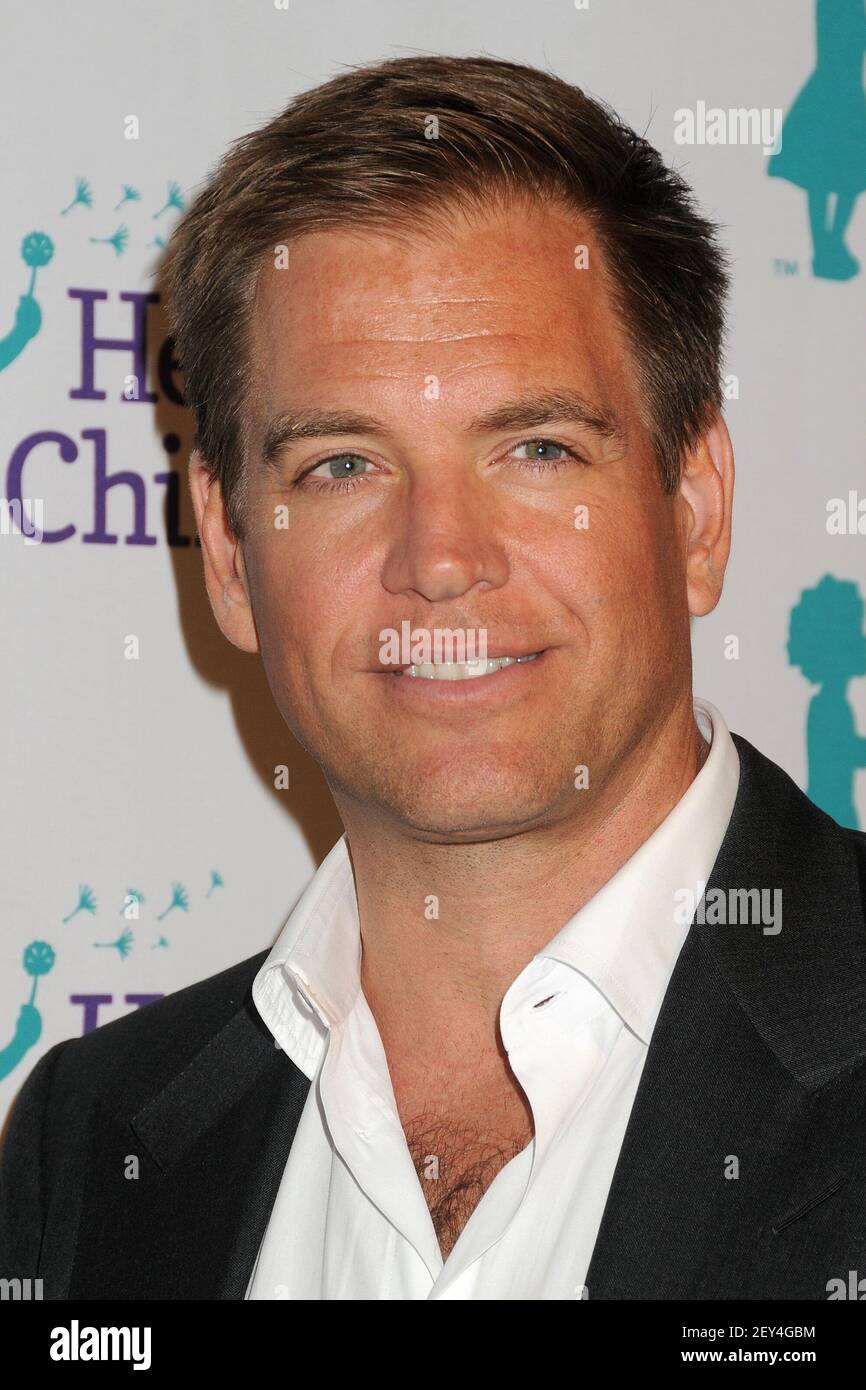 29 October 2014 - West Hollywood, California - Michael Weatherly. 6th ...