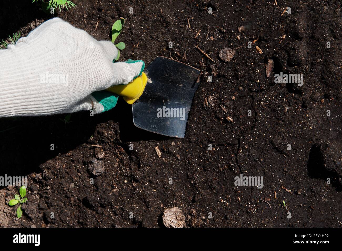 Farmer digging spade hand tool hi-res stock photography and images - Alamy
