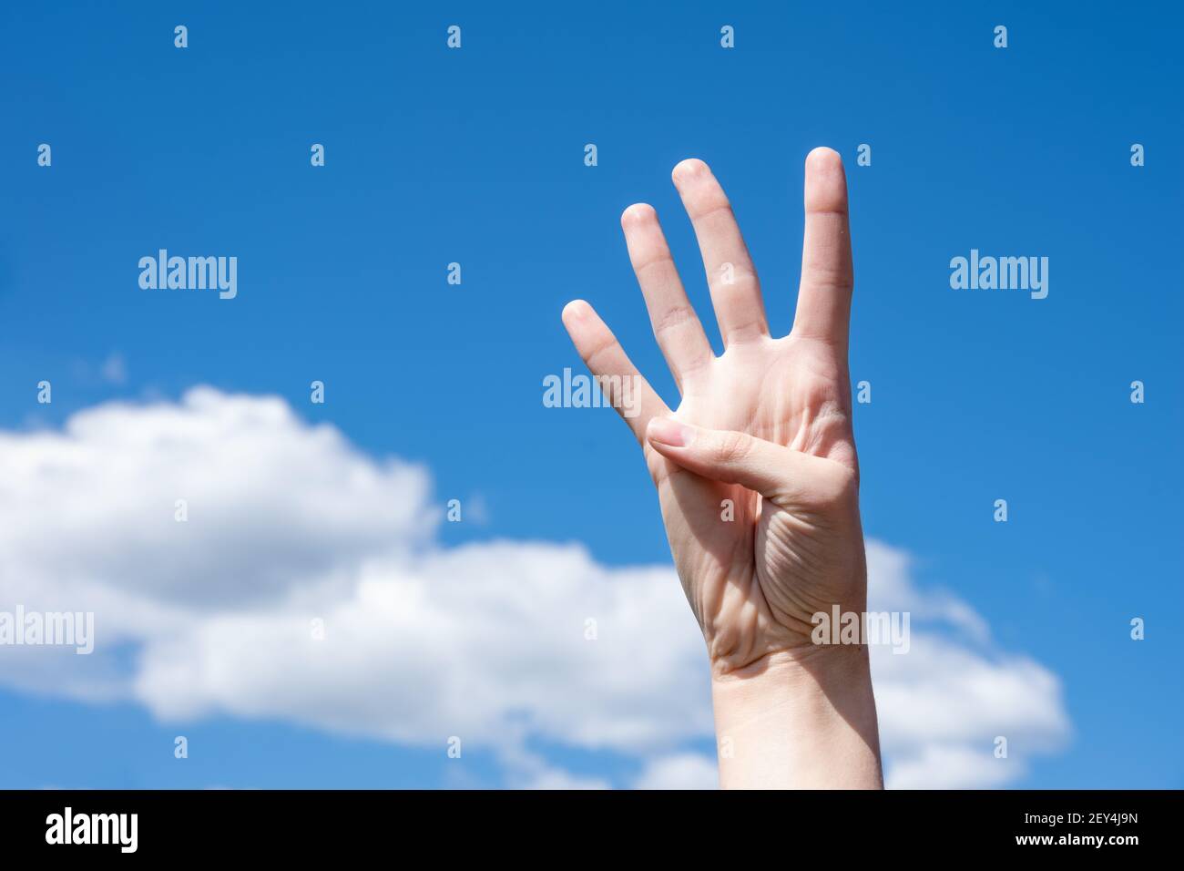 Gesture closeup of a woman's hand showing four fingers, isolated on a ...