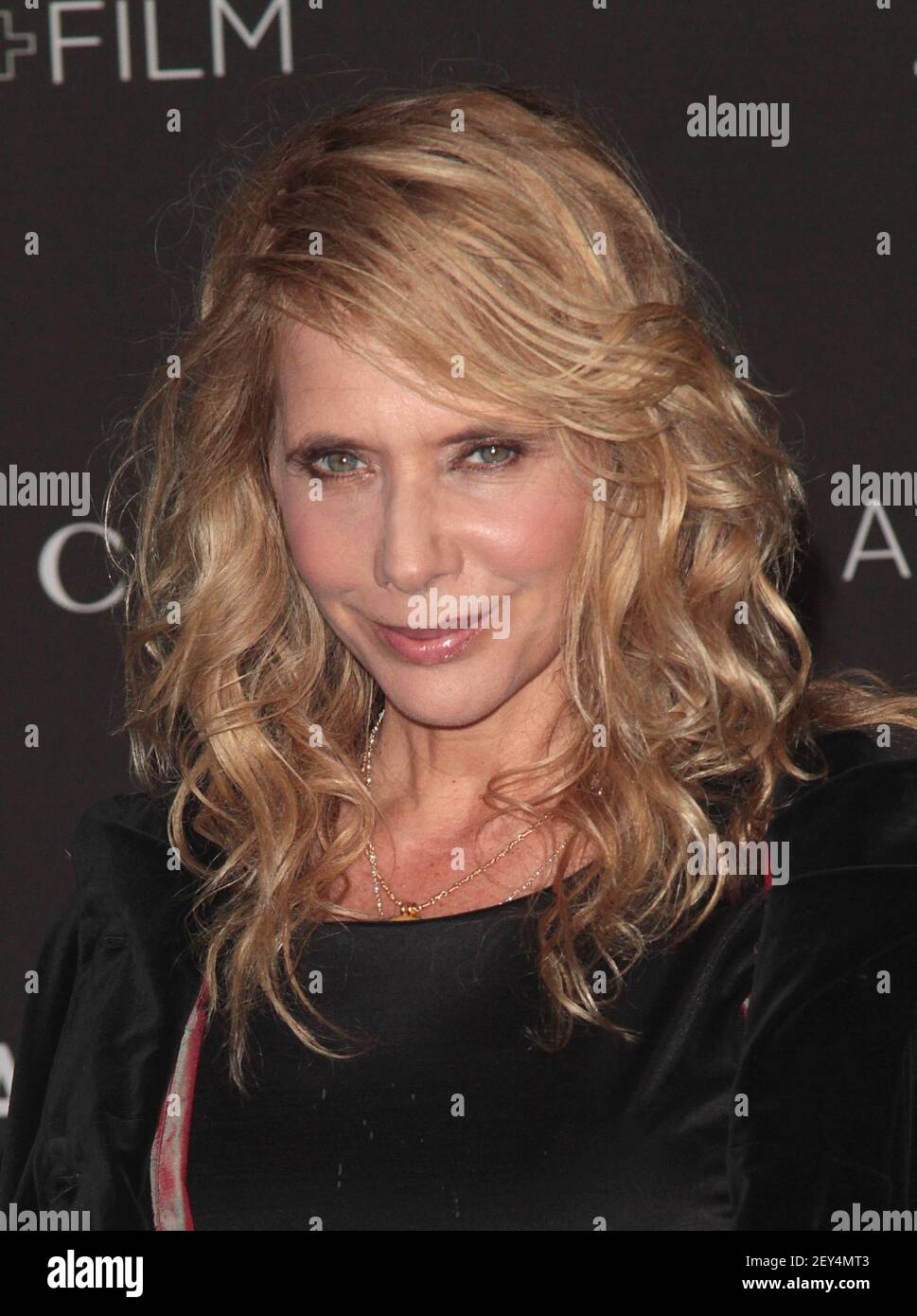 Rosanna Arquette attends The LAMCA Art + Film Gala held at the LACMA in ...