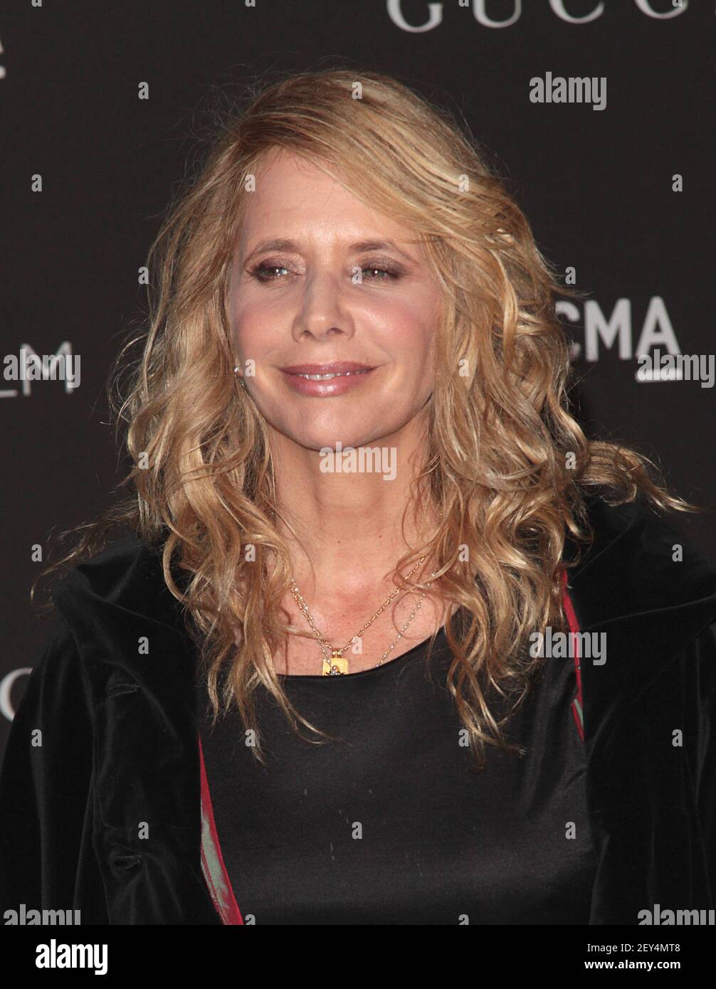 Rosanna Arquette attends The LAMCA Art + Film Gala held at the LACMA in ...