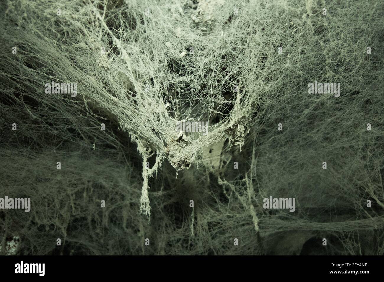 Ceiling cobweb hi-res stock photography and images - Alamy