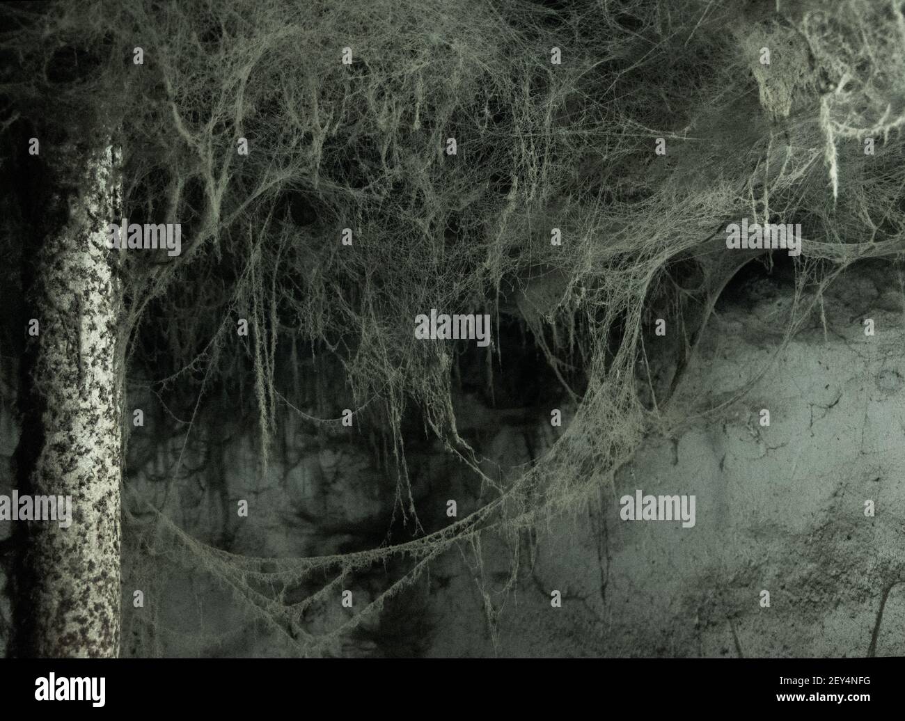 Ceiling cobweb hi-res stock photography and images - Alamy