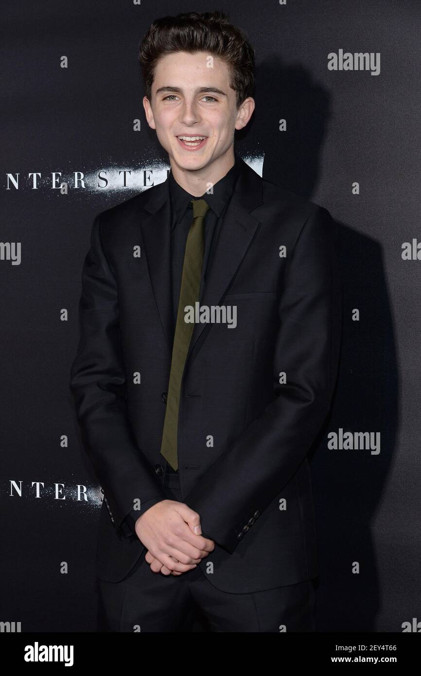 Actor Timothee Chalamet attends the New York Premiere of "Interstellar ...