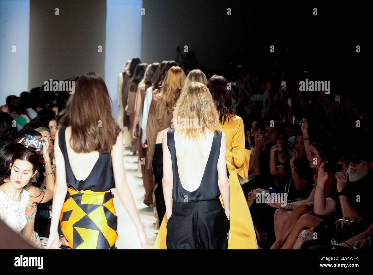 A model displays a collection by Fashion Design Animale, in Sao Paulo ...