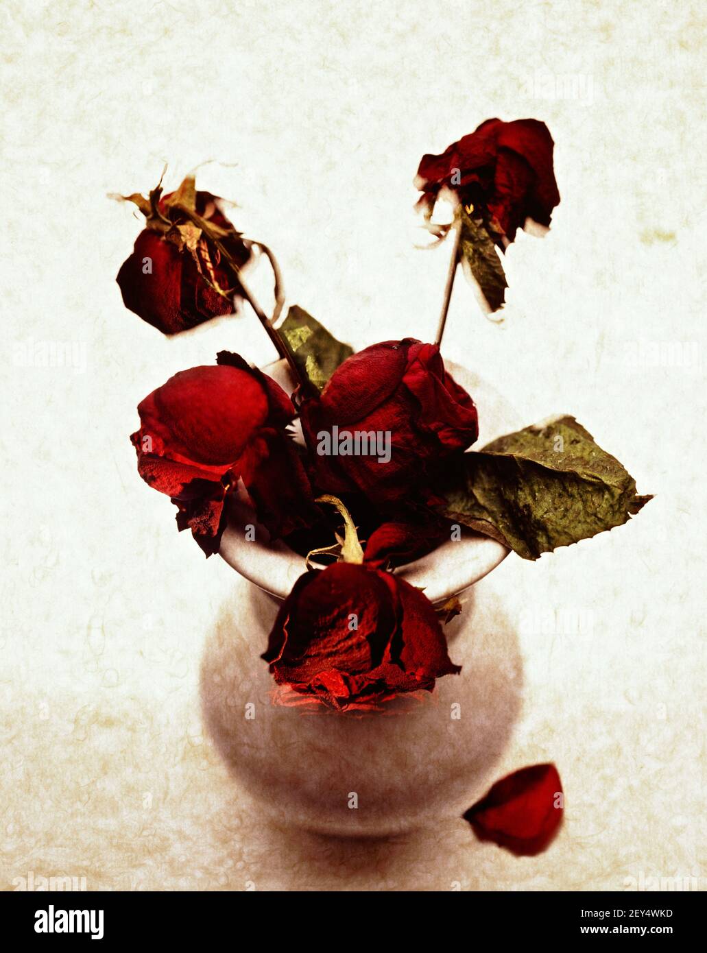 Paper underlay hi-res stock photography and images - Alamy