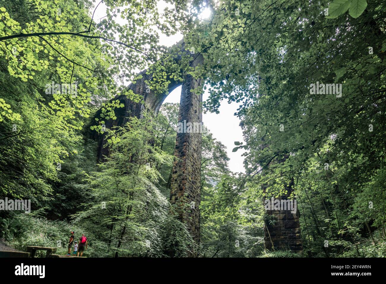 Healey Dell Nature Reserve - nature reserve in Whitworth , Lancashire ...