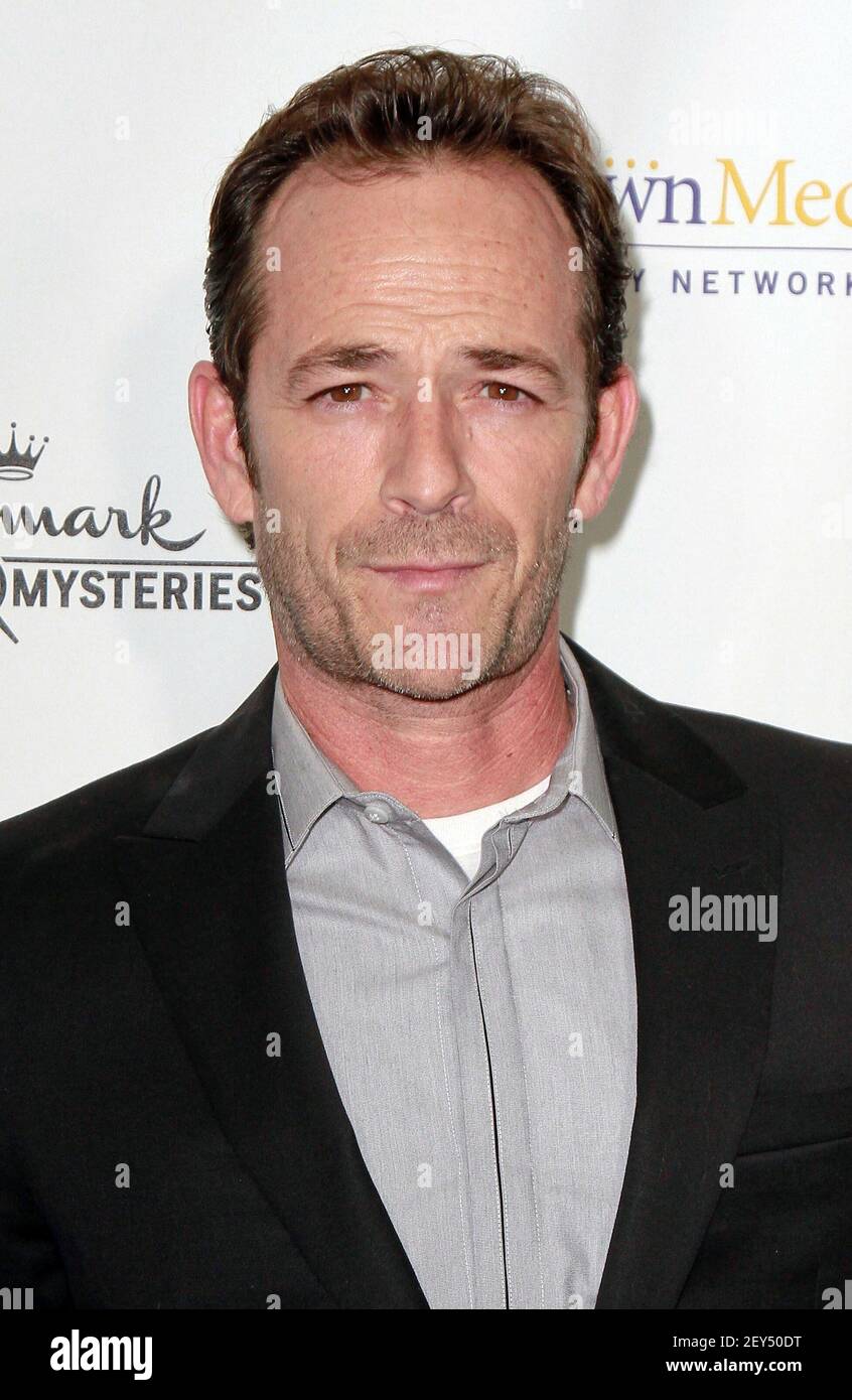 4 November 2014 - Hollywood, California - Luke Perry. Hallmark Channelâ ...