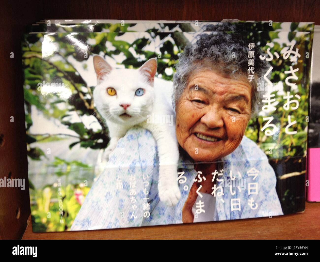 This picture book about a Japanese grandmother and her deaf cat with ...