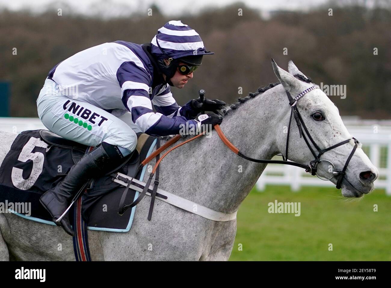 Highclere horse hi-res stock photography and images - Alamy